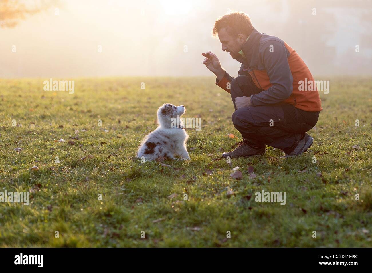 Man with border collie hi-res stock photography and images - Alamy
