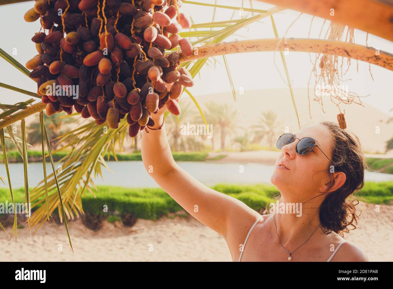 A young lady tastes a sweet date directly collected from the date palm ...