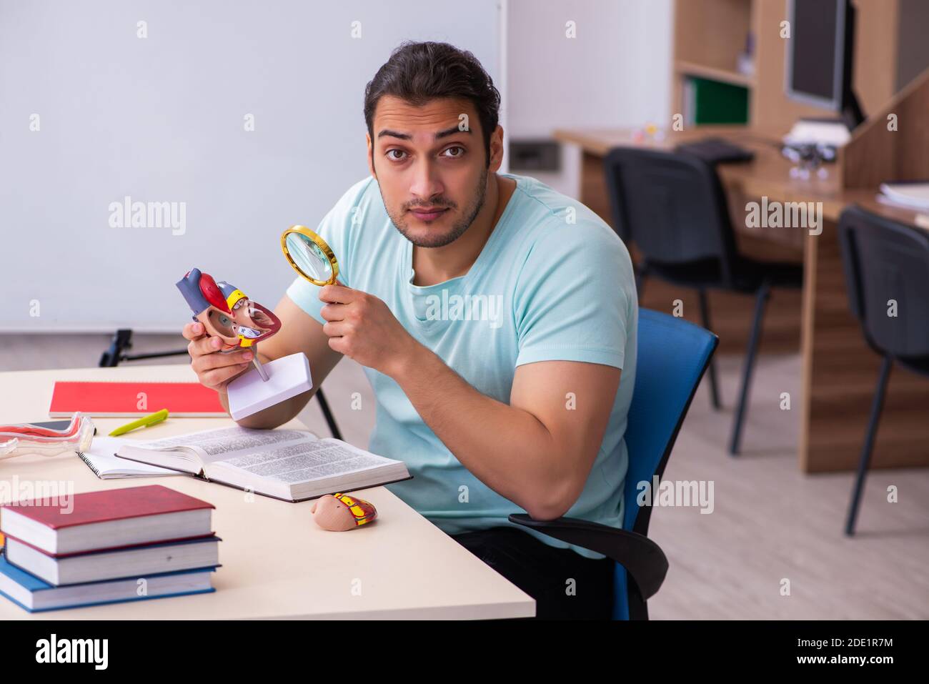 Young student medic studying human anatomy at home Stock Photo - Alamy