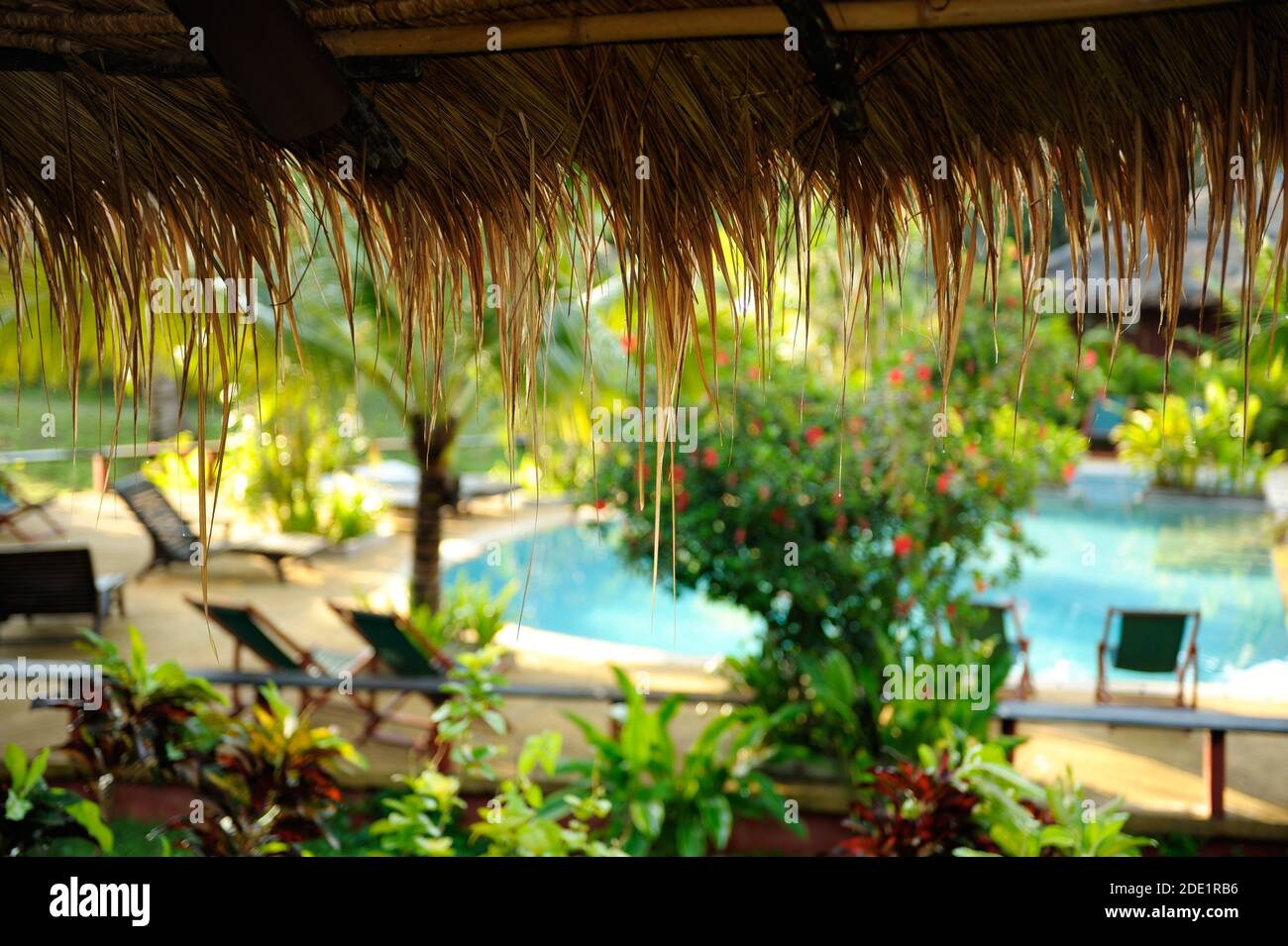 Thatched roof cottage wet after tropical rain. Beautiful swimming pool ...