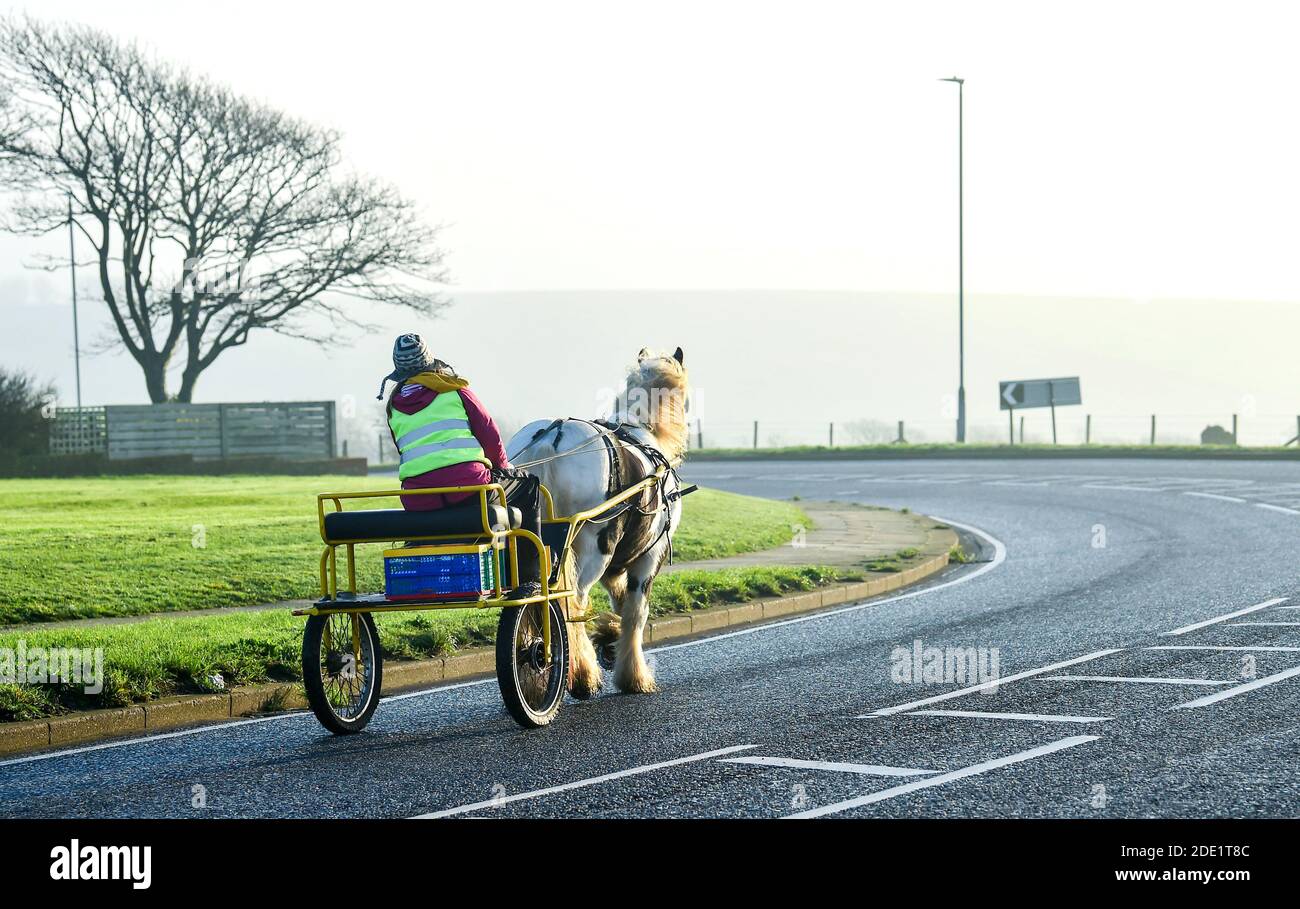 A pony and trap hi-res stock photography and images - Alamy