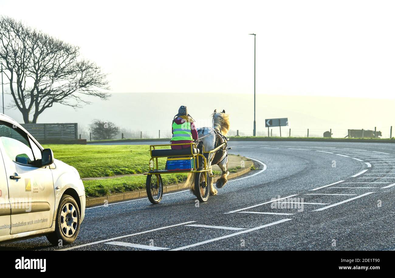 A pony and trap hi-res stock photography and images - Alamy