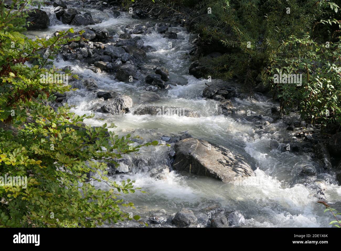 Stream water flowing wilderness hi-res stock photography and images - Alamy
