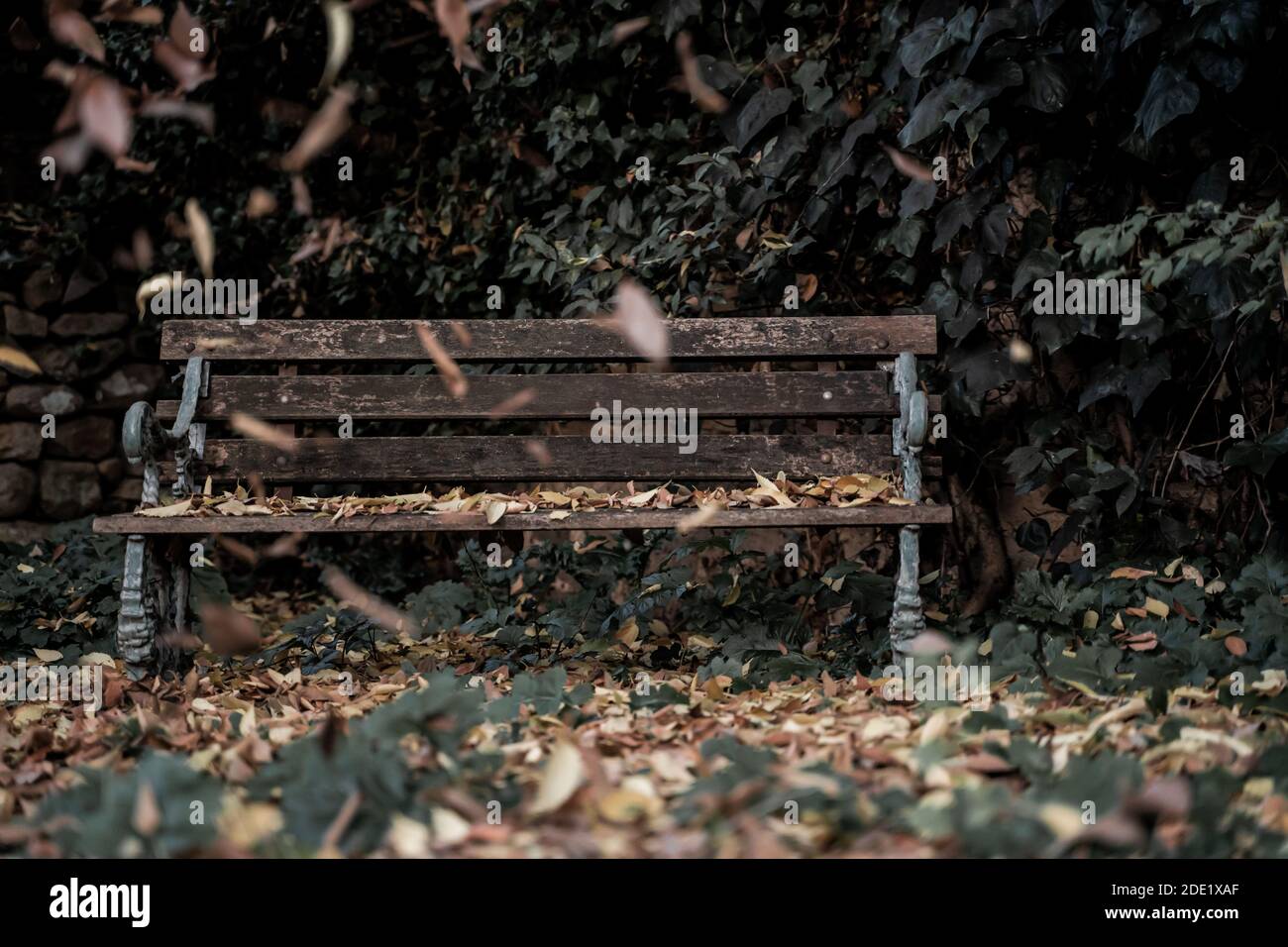 Unsaturated photo of the selective focus on an ancient wooden bench ...