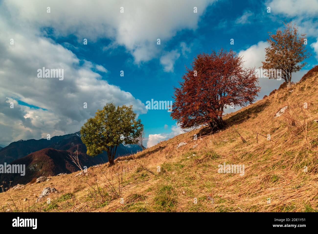 October day in the mountains of Val di Resia, in Friuli-Venezia Giulia ...