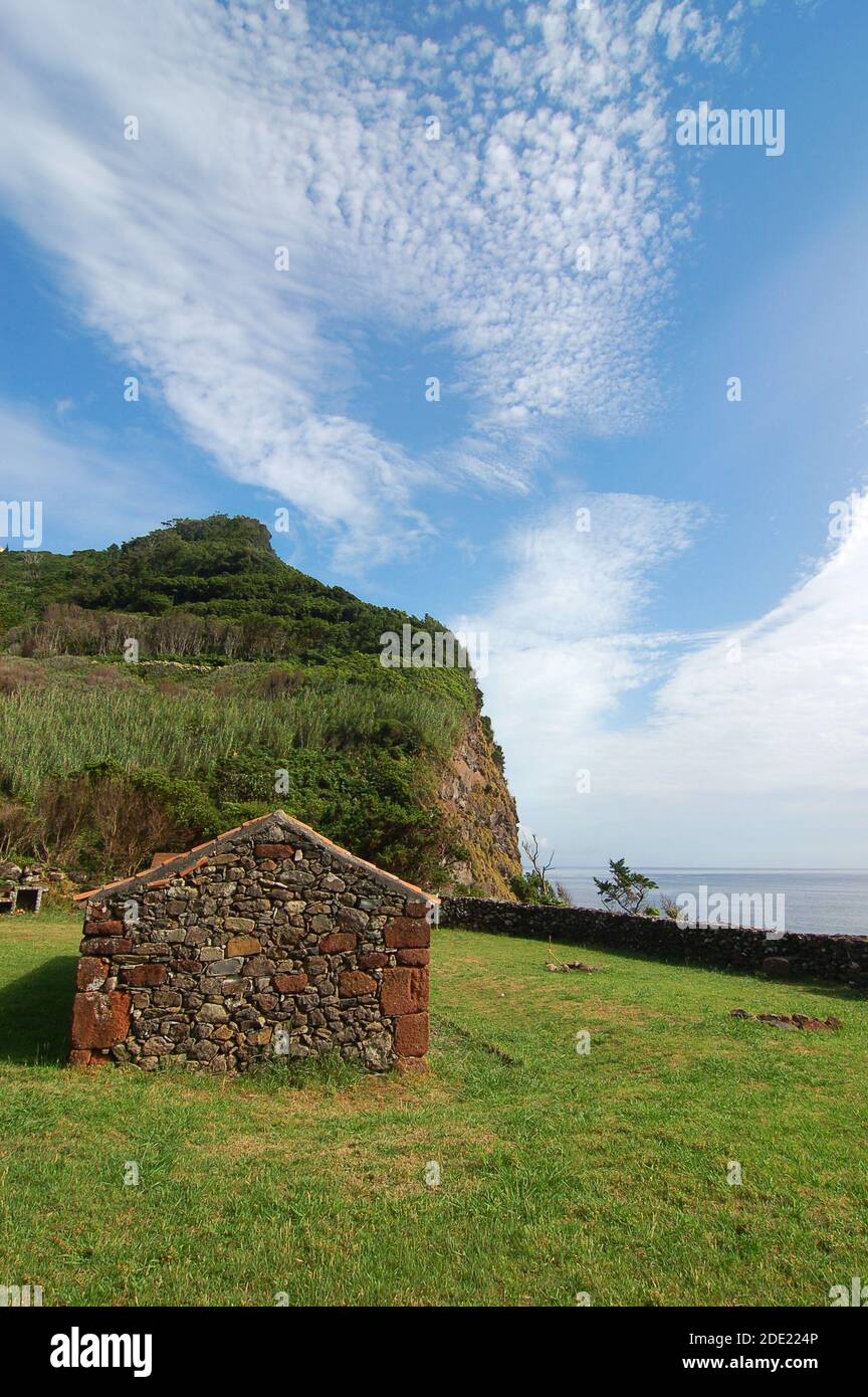 Azores hydrangea farm hi-res stock photography and images - Alamy