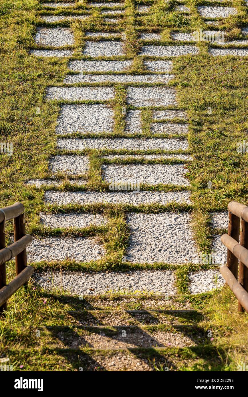 Limestone paving stone hi-res stock photography and images - Alamy
