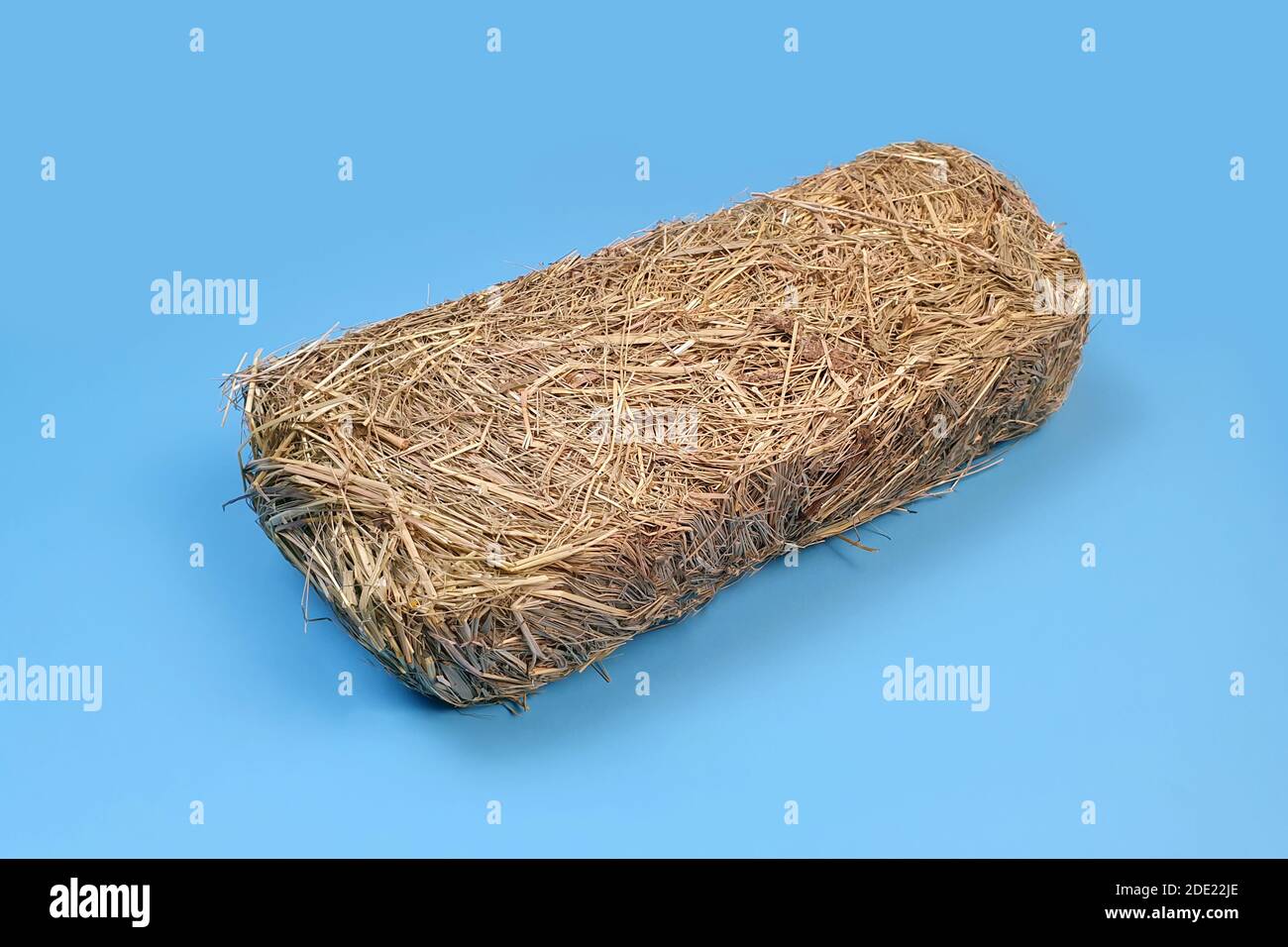bedding hay bale for rabbit, hay for guinea pigs on blue table. Front ...