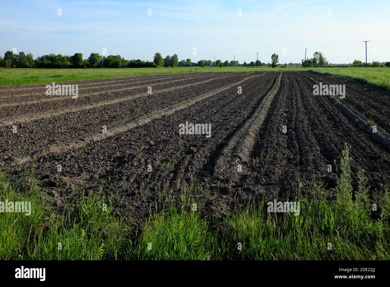 Plowed garden. Plowed chernozem. Cultivated farmland. Scenery Stock ...