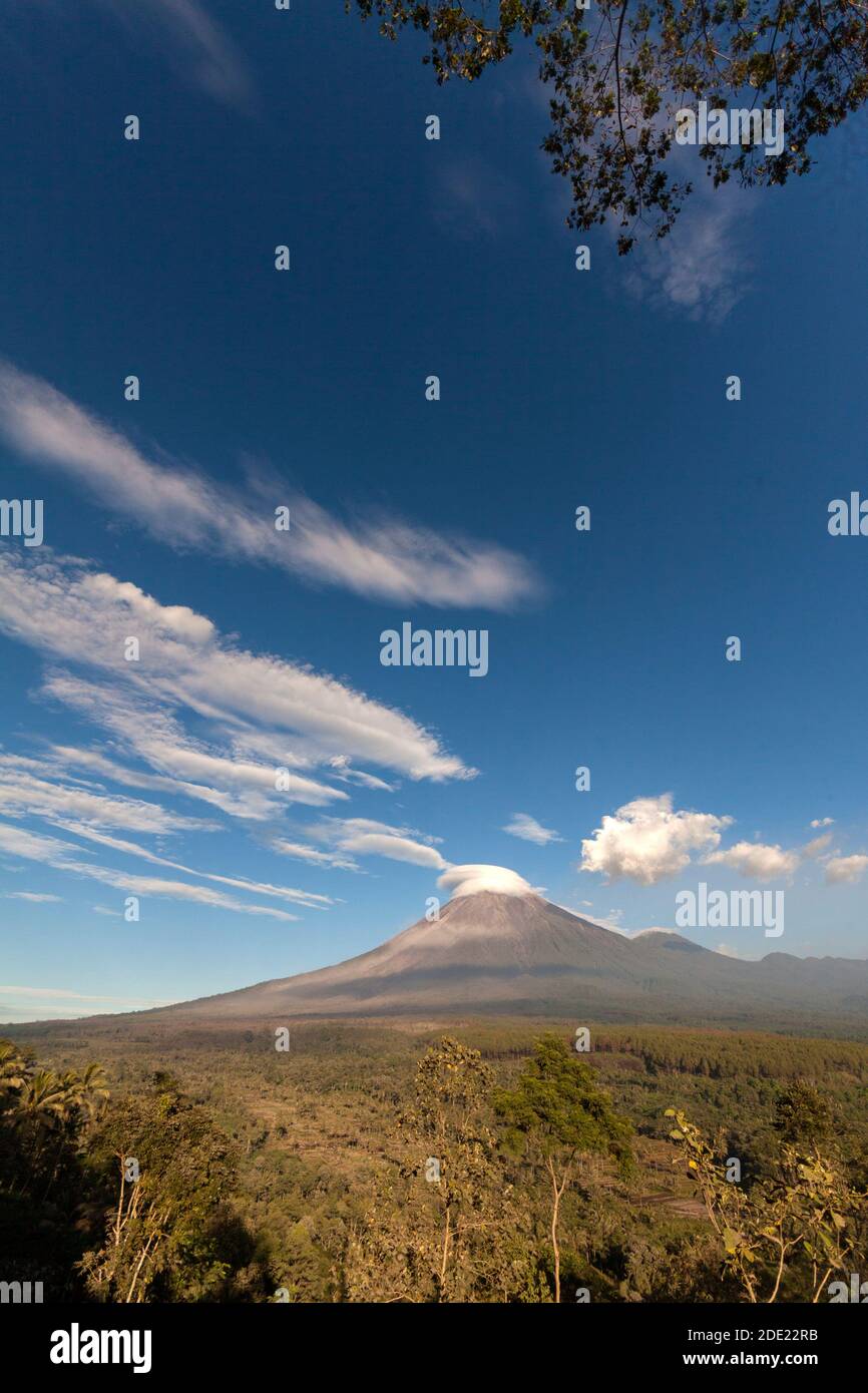 Semeru is the highest mountain on the island of Java, 3676 meters above ...