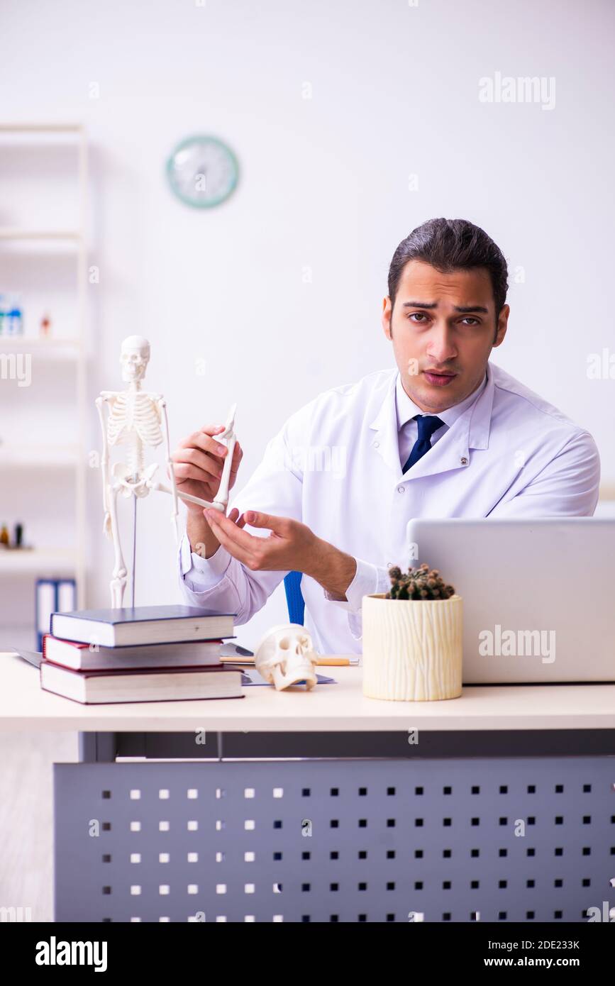 Young doctor studying human skeleton Stock Photo - Alamy