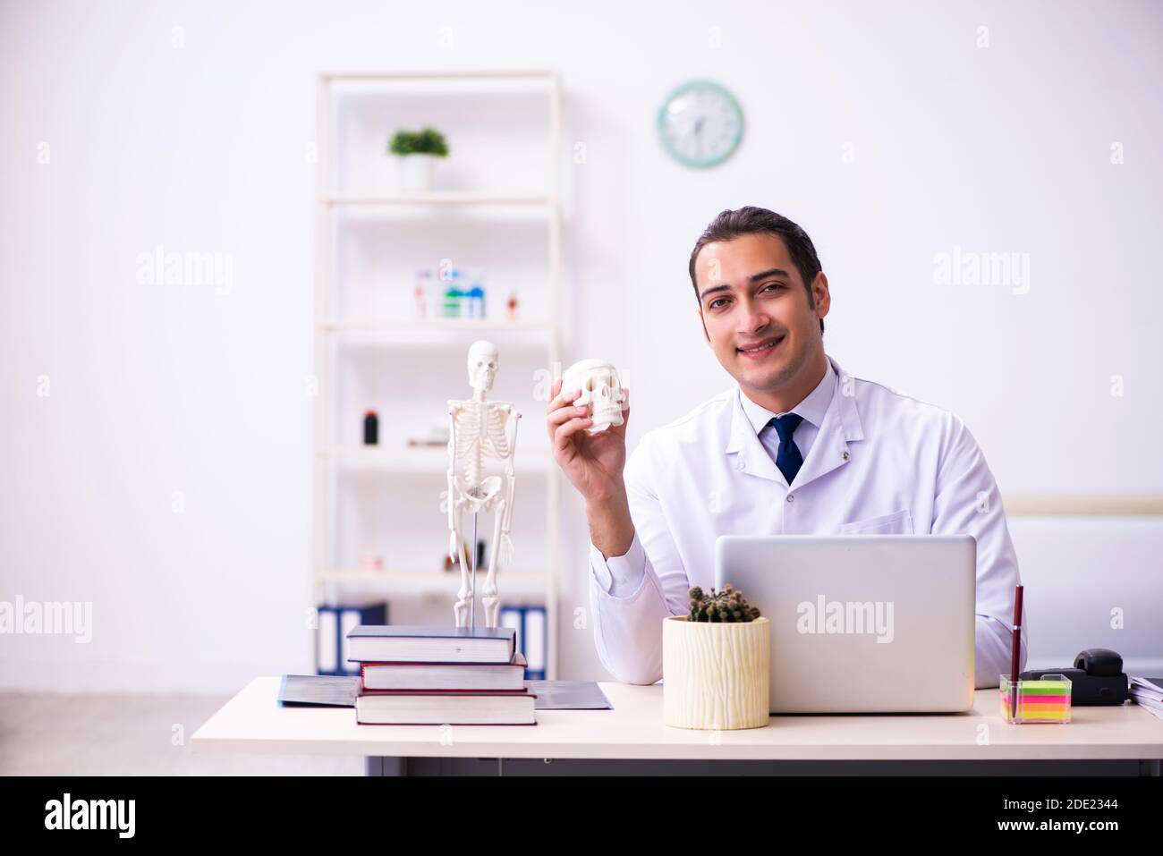 Young doctor studying human skeleton Stock Photo - Alamy