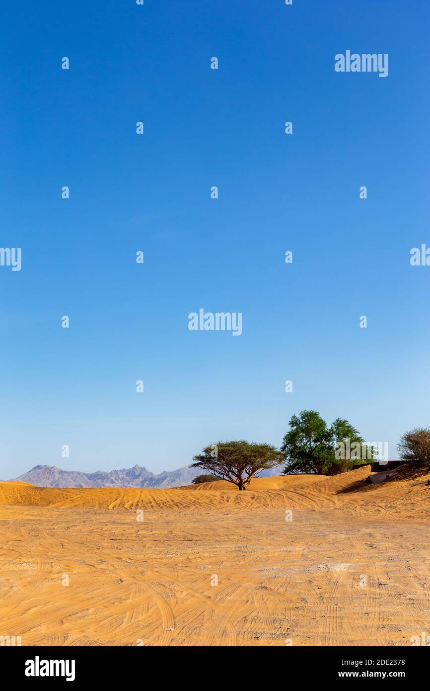 Dubai countryside hi-res stock photography and images - Alamy