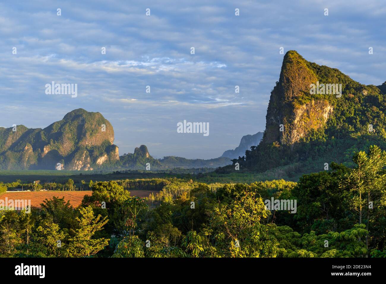 Din daeng hi-res stock photography and images - Alamy