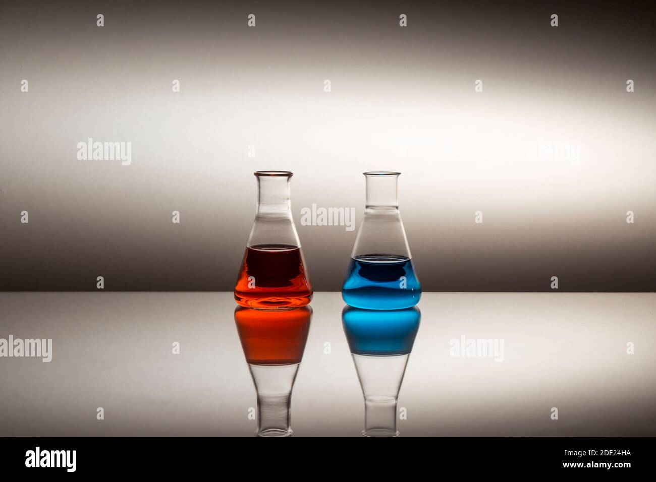 Scientific laboratory glass erlenmeyer flask filled with red and blue ...