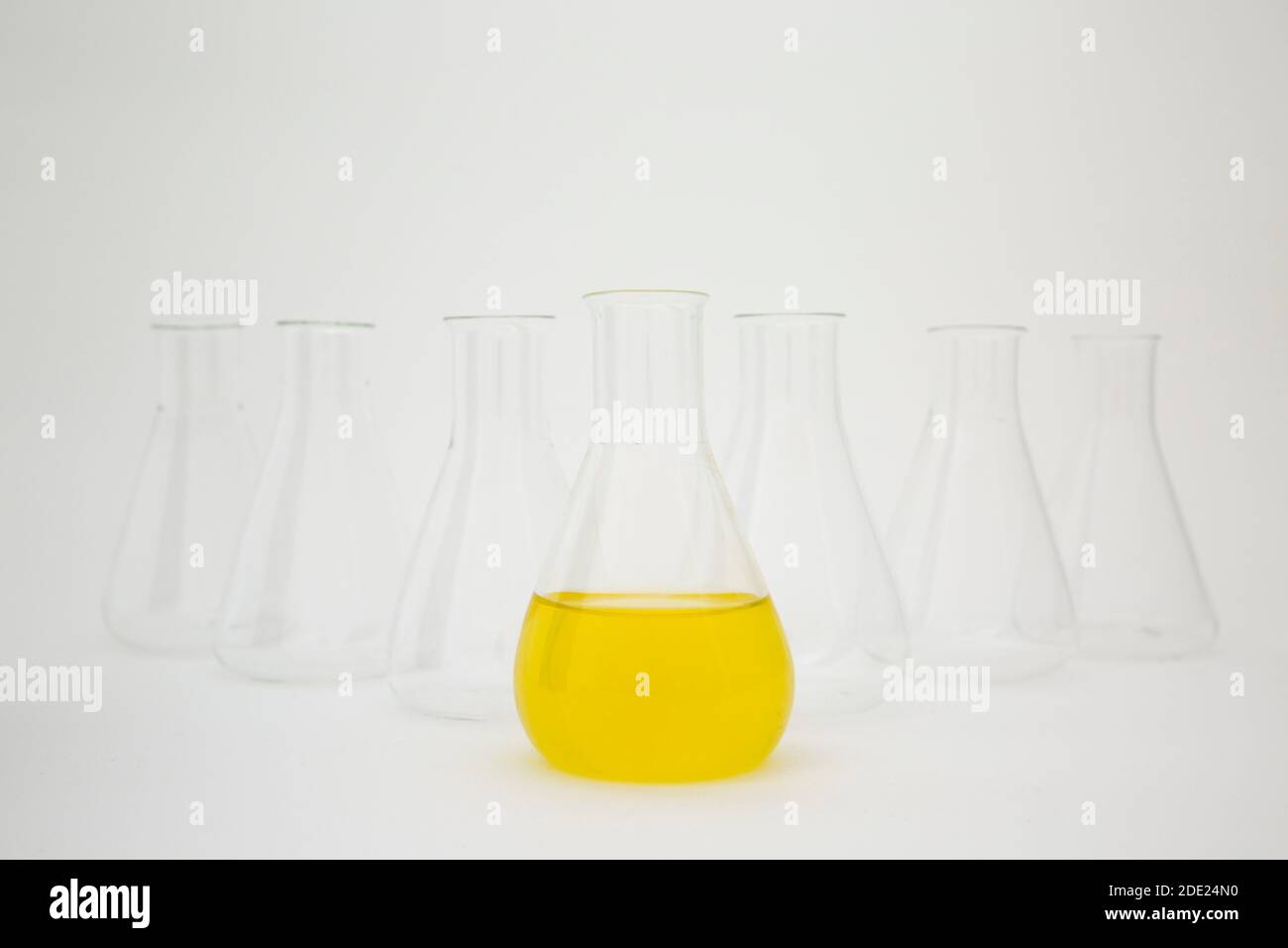 Scientific laboratory glass erlenmeyer flask filled with yellow liquid ...