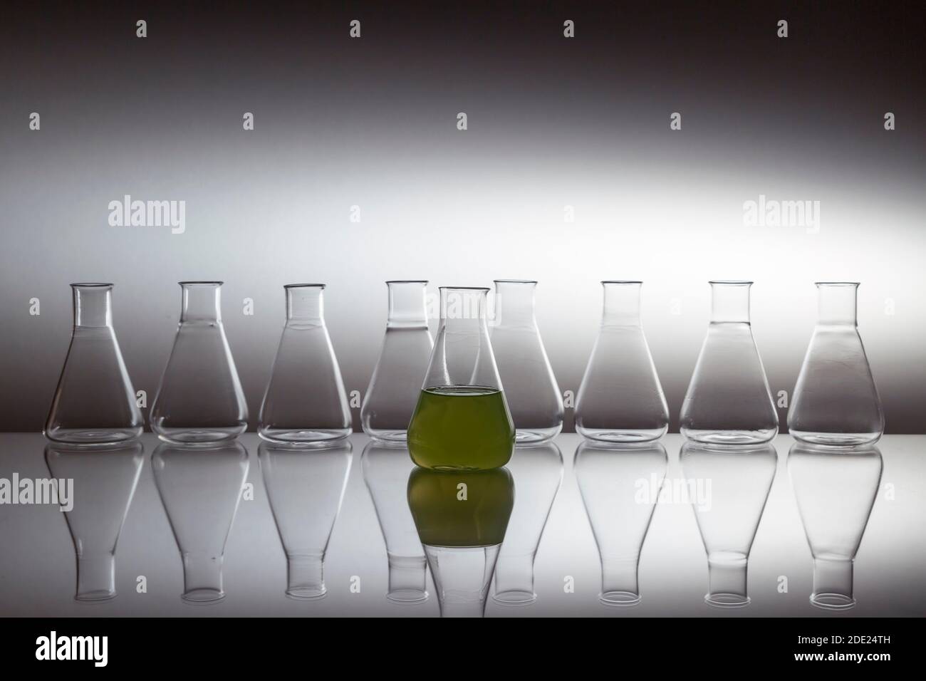 Scientific laboratory glass erlenmeyer flask filled with green liquid ...
