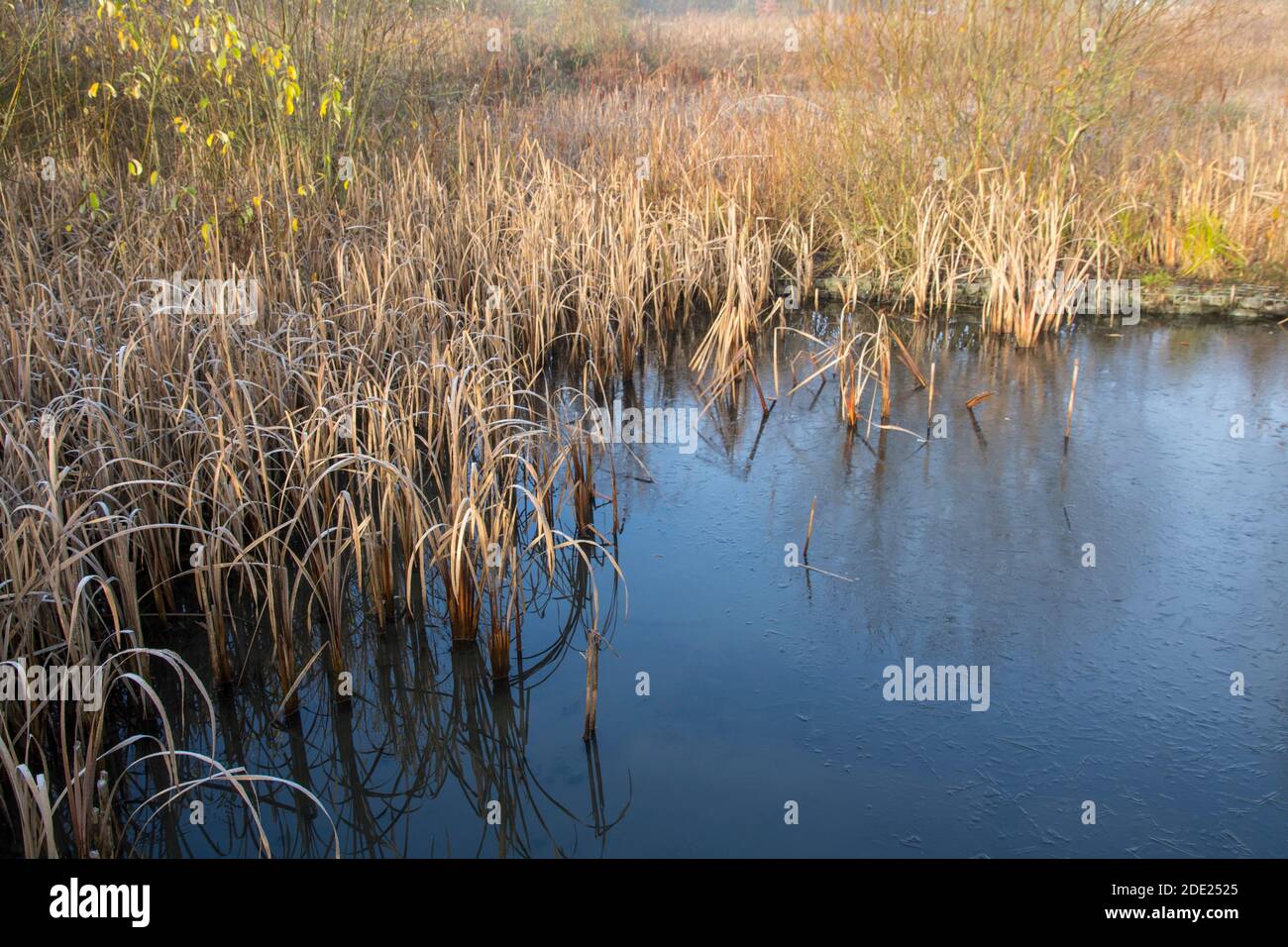 Settlement pond hi-res stock photography and images - Alamy