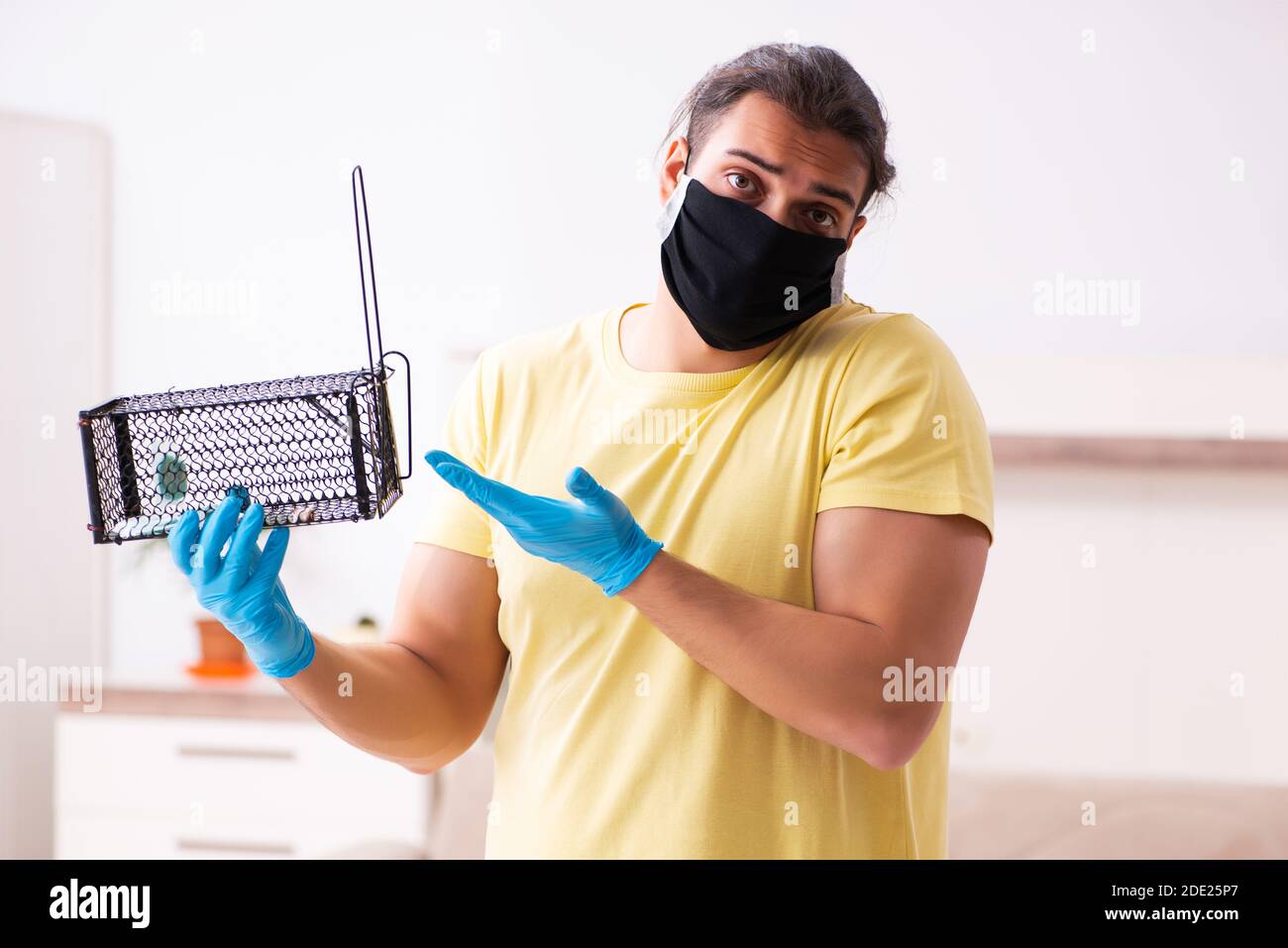 Broken mouse trap hi-res stock photography and images - Alamy
