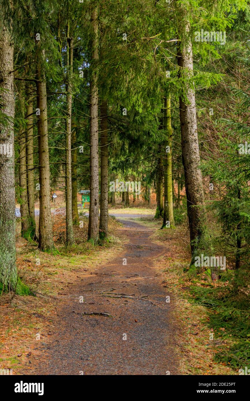 Hiking in different places through the Thuringian Forest - Thüringer ...