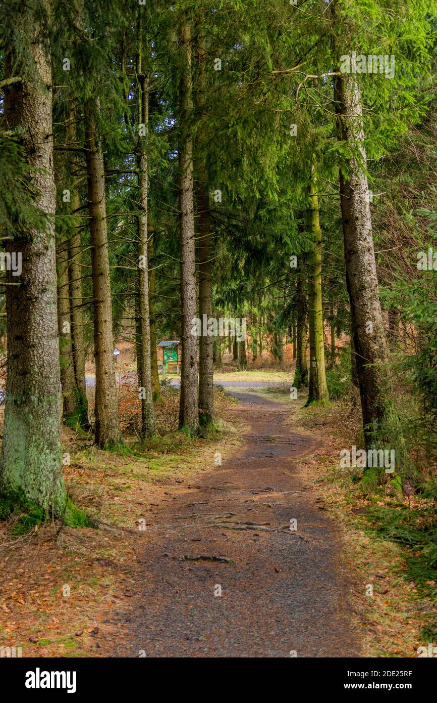 Hiking in different places through the Thuringian Forest - Thüringer ...