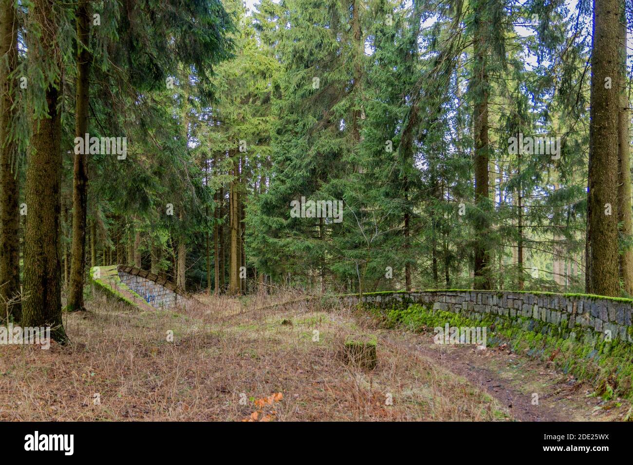 Hiking in different places through the Thuringian Forest - Thüringer ...