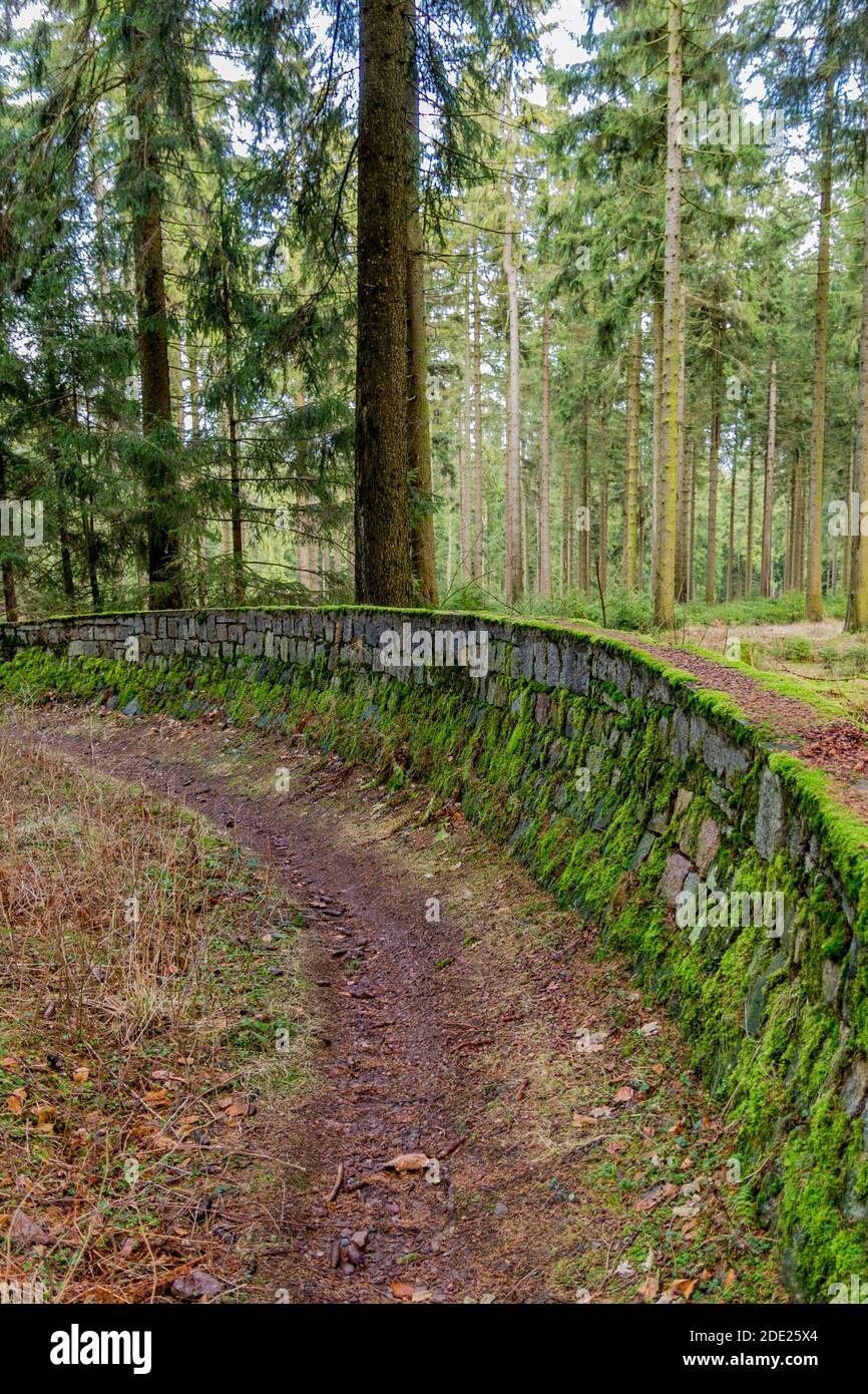 Hiking in different places through the Thuringian Forest - Thüringer ...