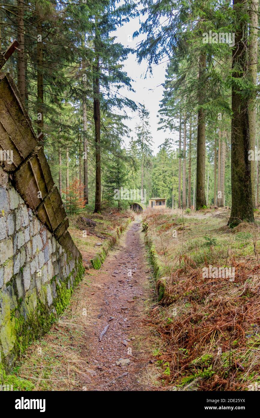 Hiking in different places through the Thuringian Forest - Thüringer ...