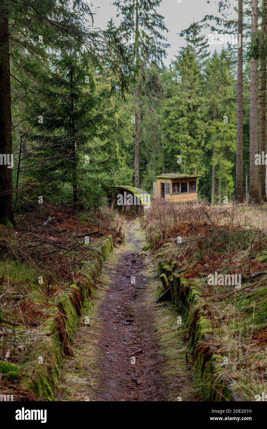 Hiking in different places through the Thuringian Forest - Thüringer ...