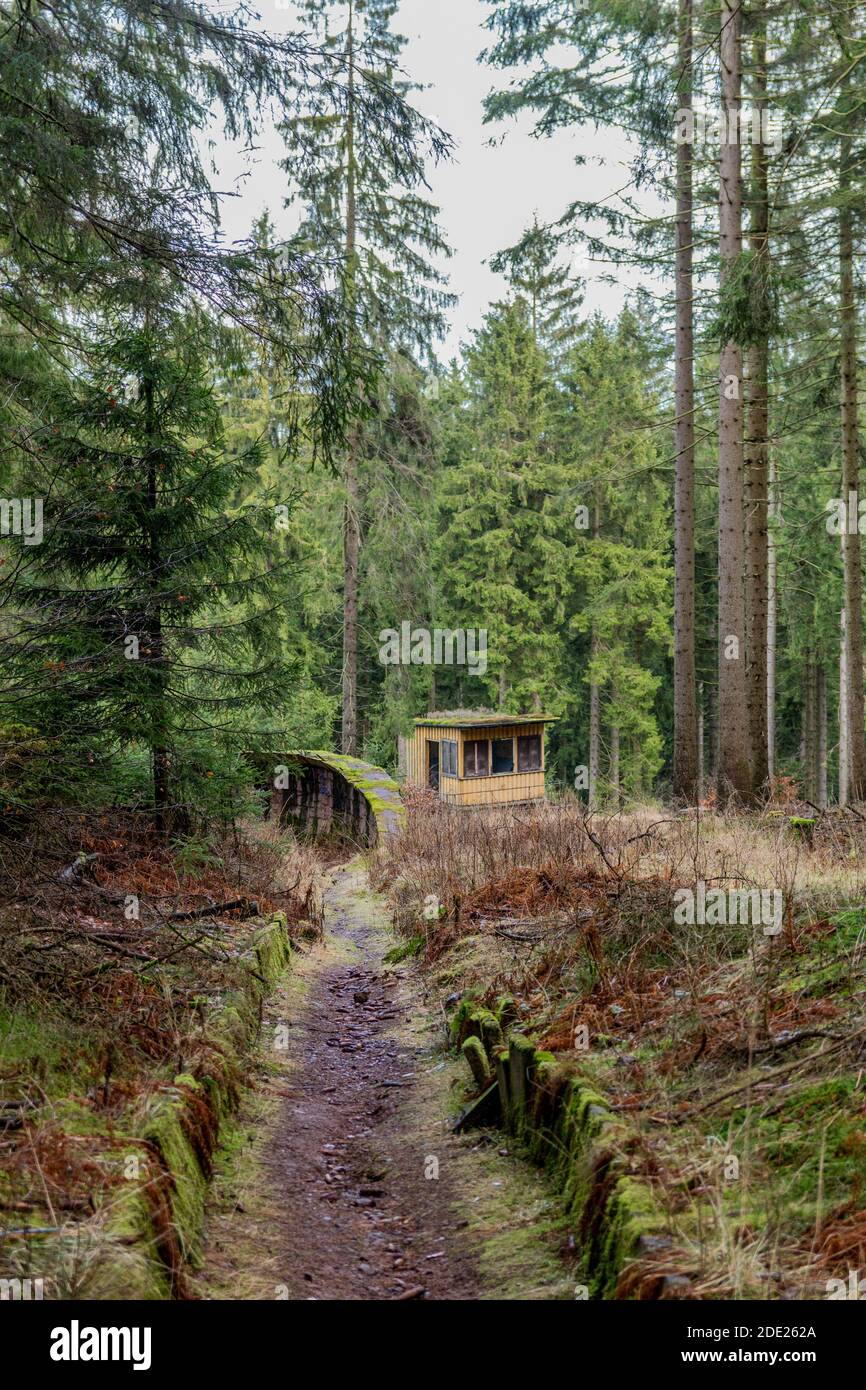 Hiking in different places through the Thuringian Forest - Thüringer ...