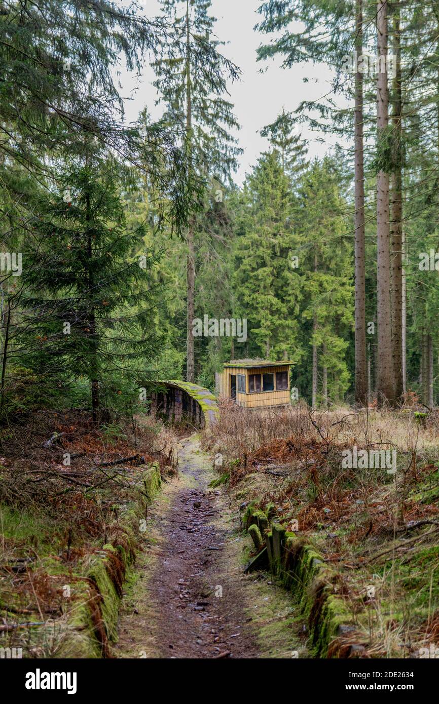 Hiking in different places through the Thuringian Forest - Thüringer ...