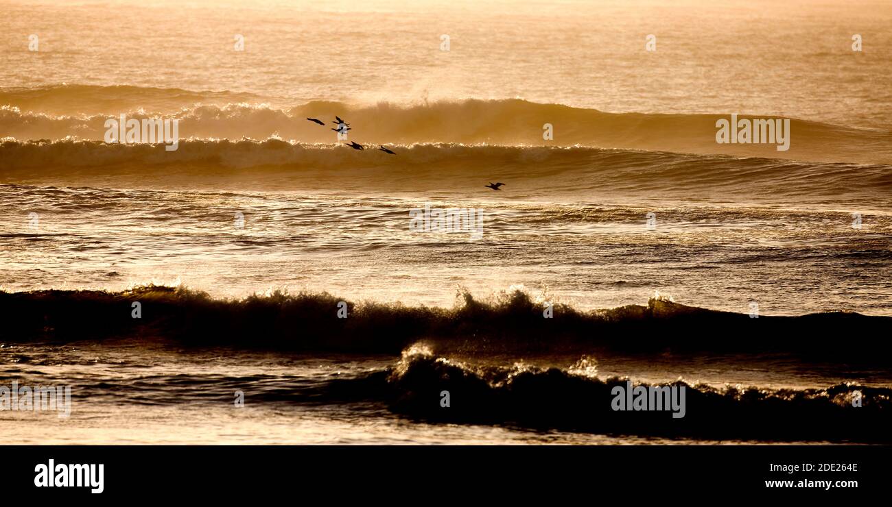 Sunset on Waves in Atlantic Ocean, Cape Cross in Namibia Stock Photo ...