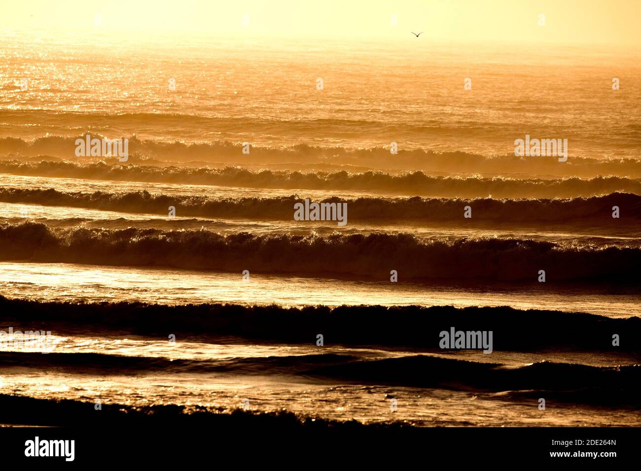 Sunset on Waves in Atlantic Ocean, Cape Cross in Namibia Stock Photo ...