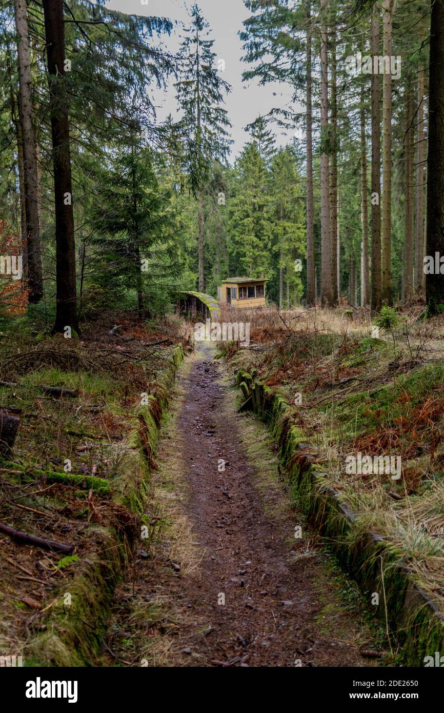 Hiking in different places through the Thuringian Forest - Thüringer ...