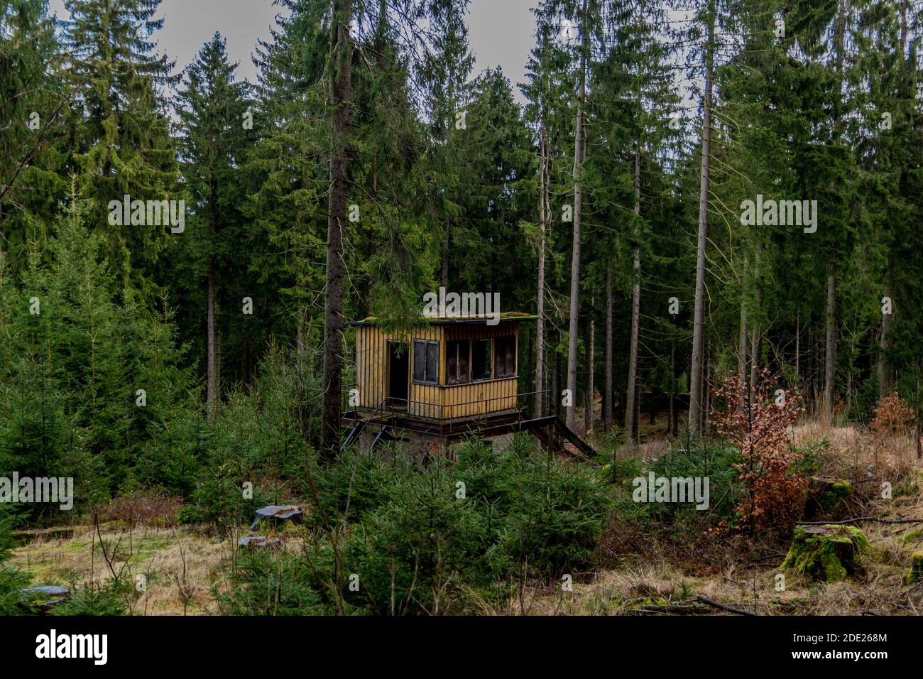 Hiking in different places through the Thuringian Forest - Thüringer ...