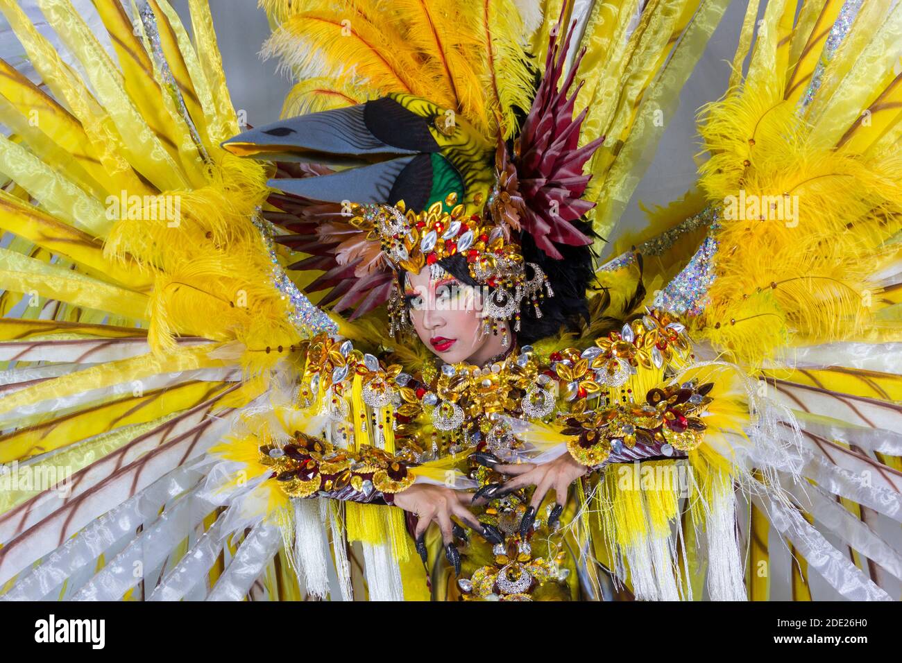 Jember Fashion Carnaval (JFC) is an annual costume festival held in the ...