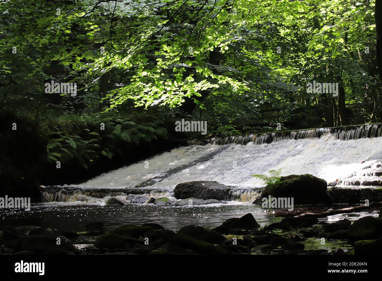 Rivelin valley hi-res stock photography and images - Alamy