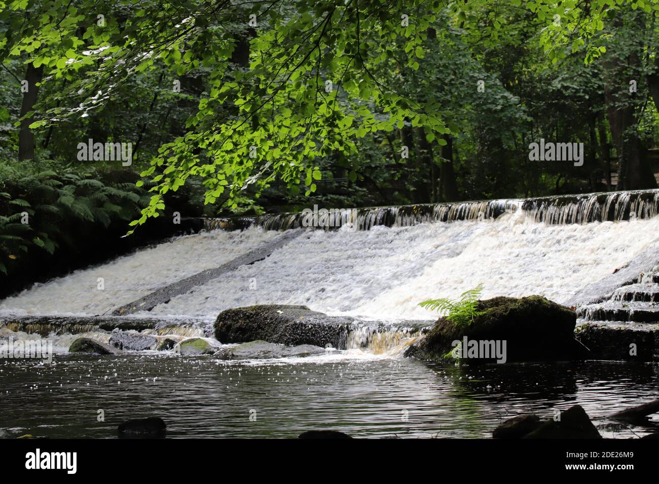 Mills on the river rivelin hi-res stock photography and images - Alamy