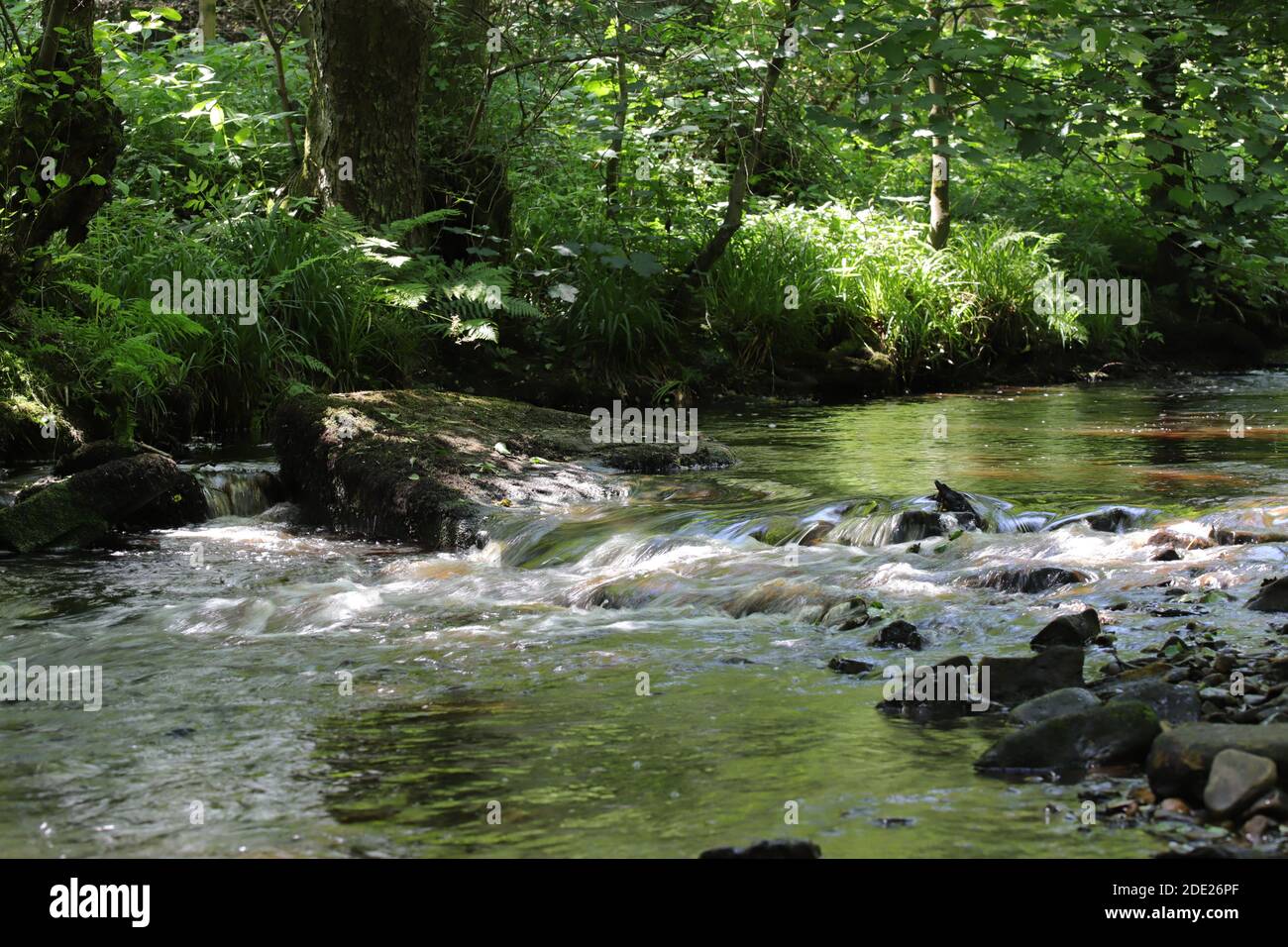 Rivelin Valley High Resolution Stock Photography and Images - Alamy