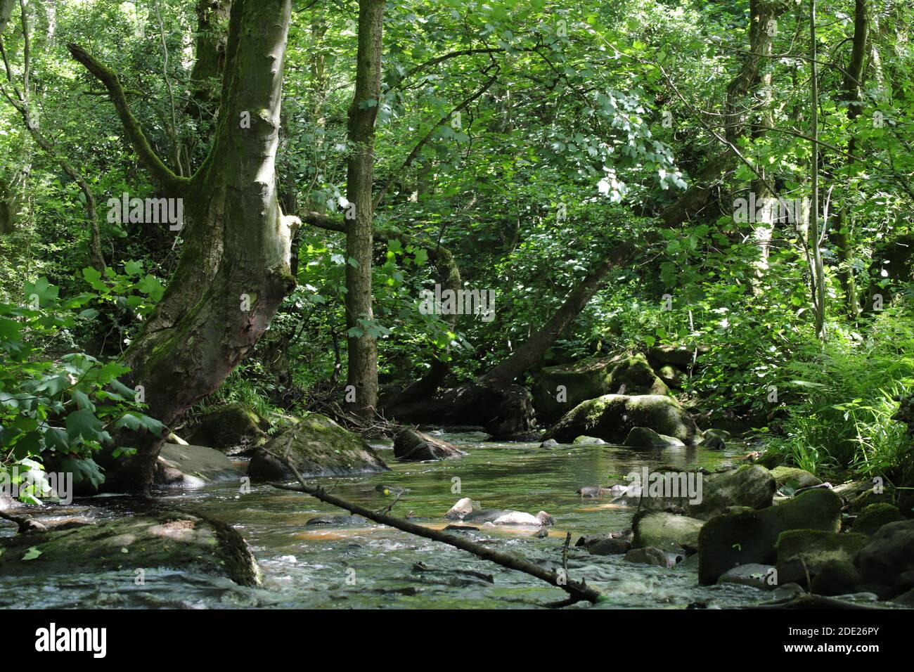 Rivelin Valley High Resolution Stock Photography and Images - Alamy