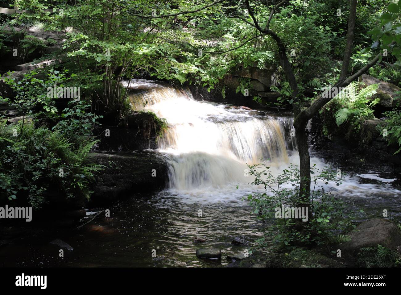 Rivelin river hi-res stock photography and images - Alamy