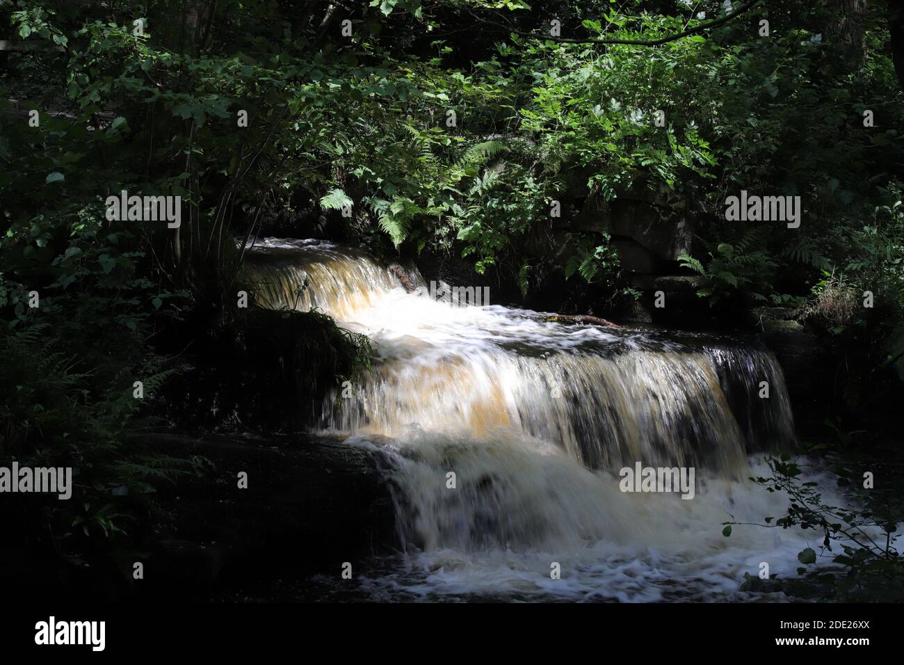 Rivelin valley waterfalls hi-res stock photography and images - Alamy