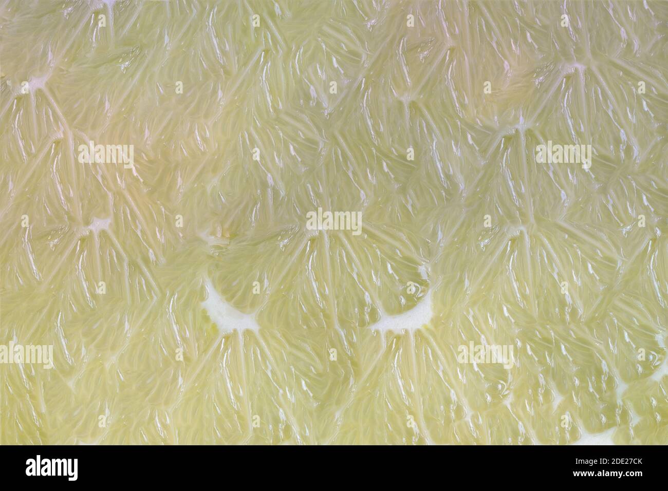 Lemon grass texture hi-res stock photography and images - Alamy
