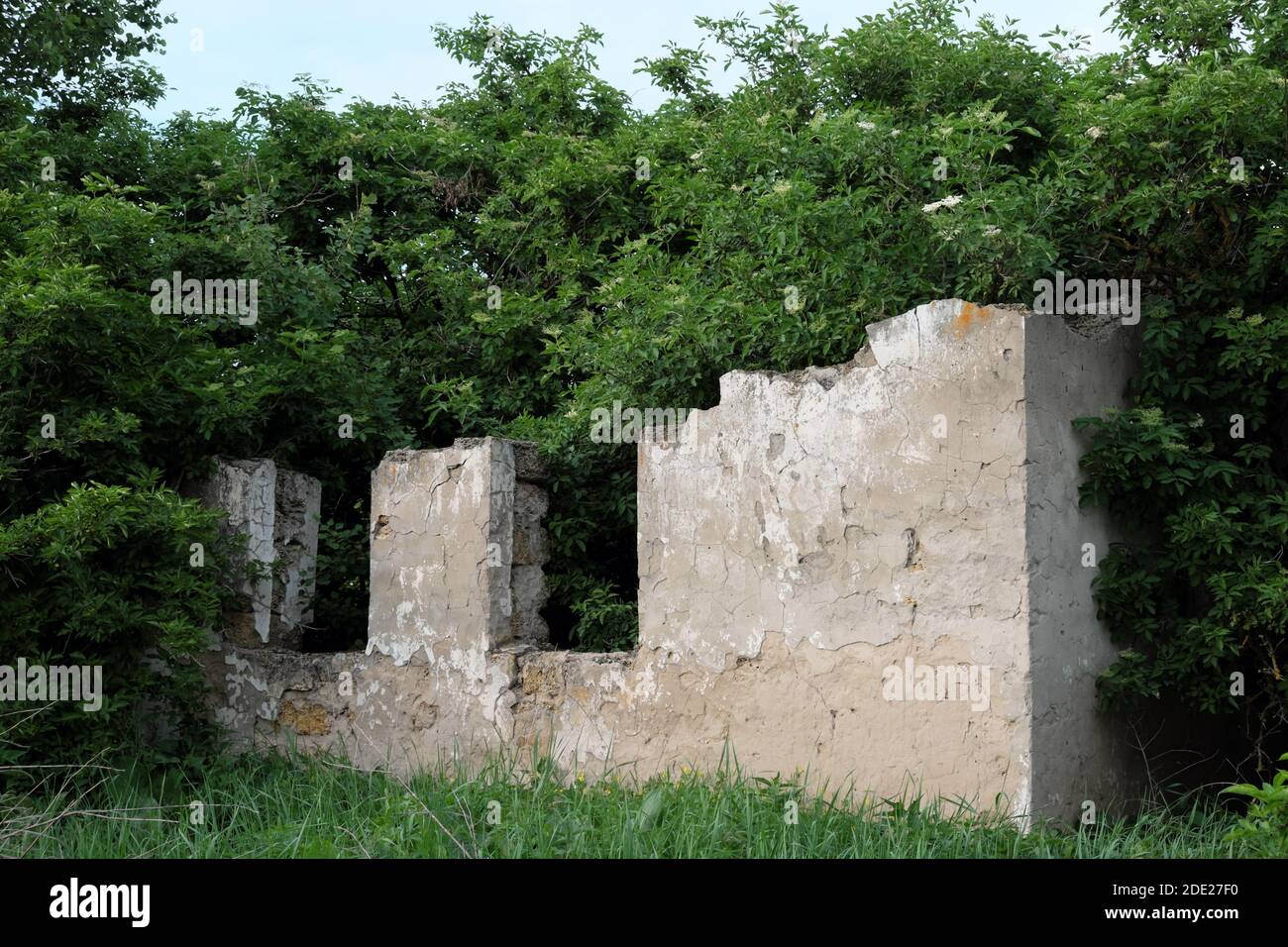 Old destroyed buildings among trees and green grasses. Abandoned ...