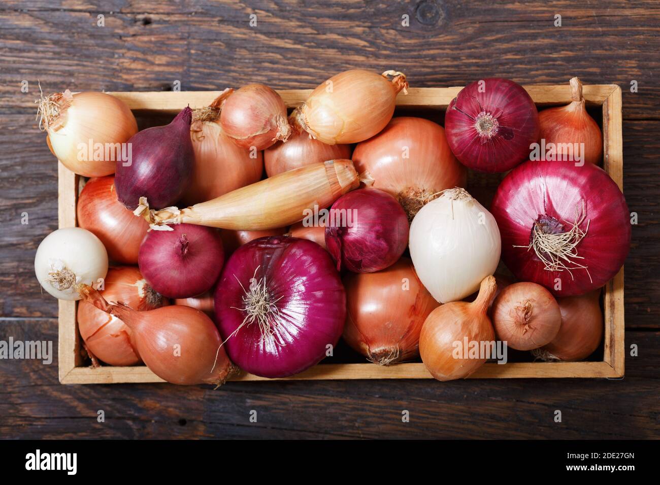 Colorful onions hi-res stock photography and images - Alamy