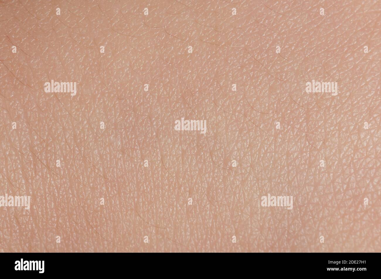 Pores on young human skin background macro close up view Stock Photo ...