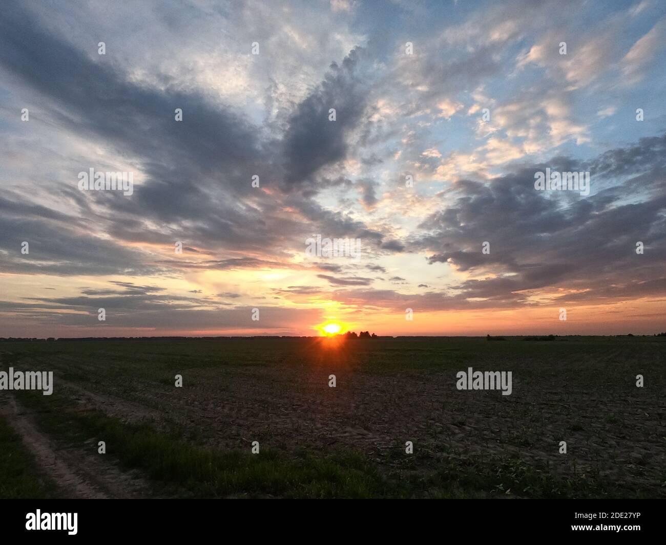 Dark scene sunset in field hi-res stock photography and images - Alamy