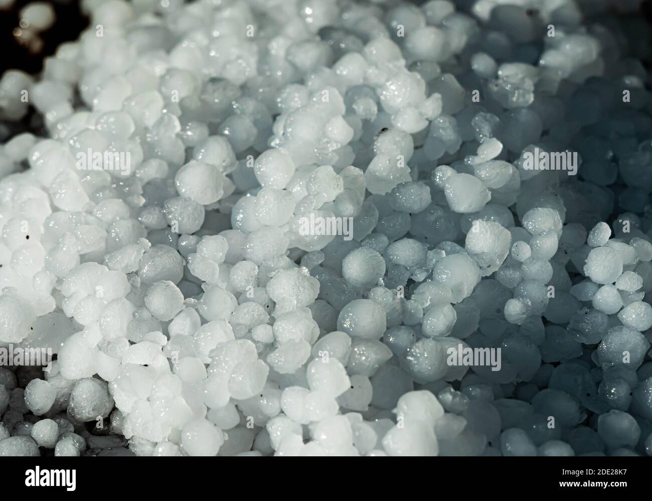 Pile of hail drops that has just fallen. Close up. . High quality photo ...