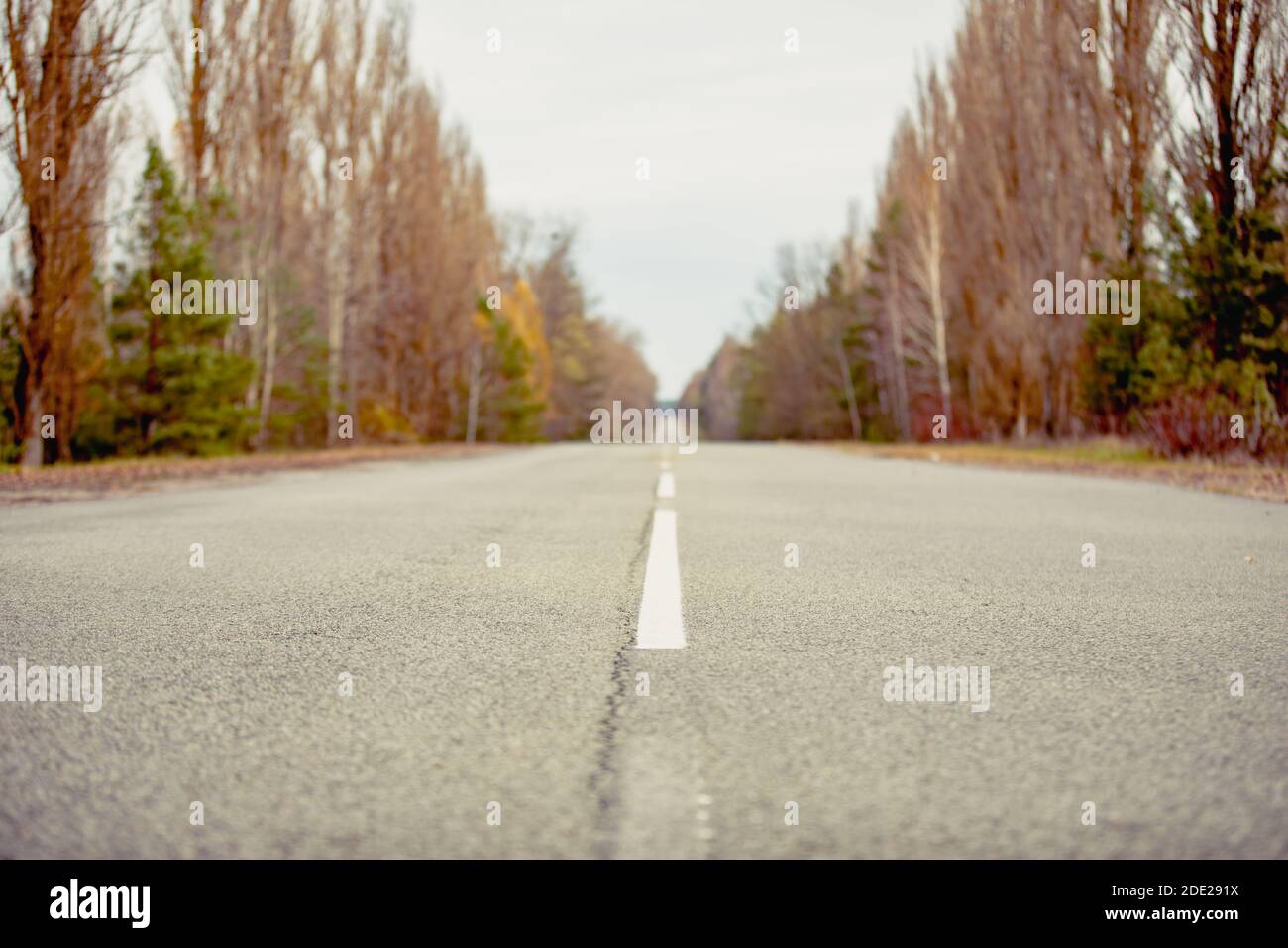 Chernobyl road in exclusion zone. Radioactive zone in Pripyat city ...