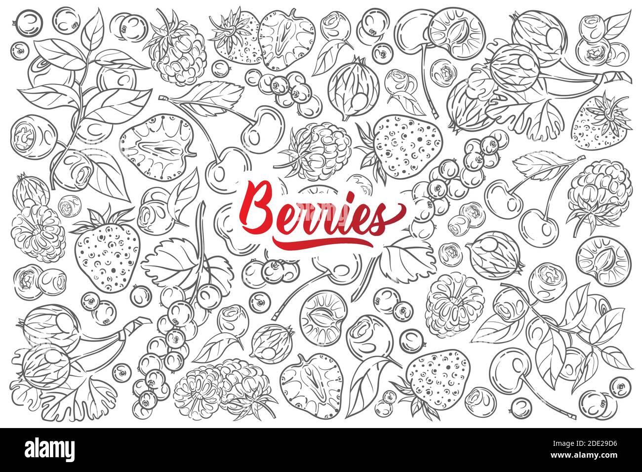Hand drawn berries set Stock Vector Image & Art - Alamy